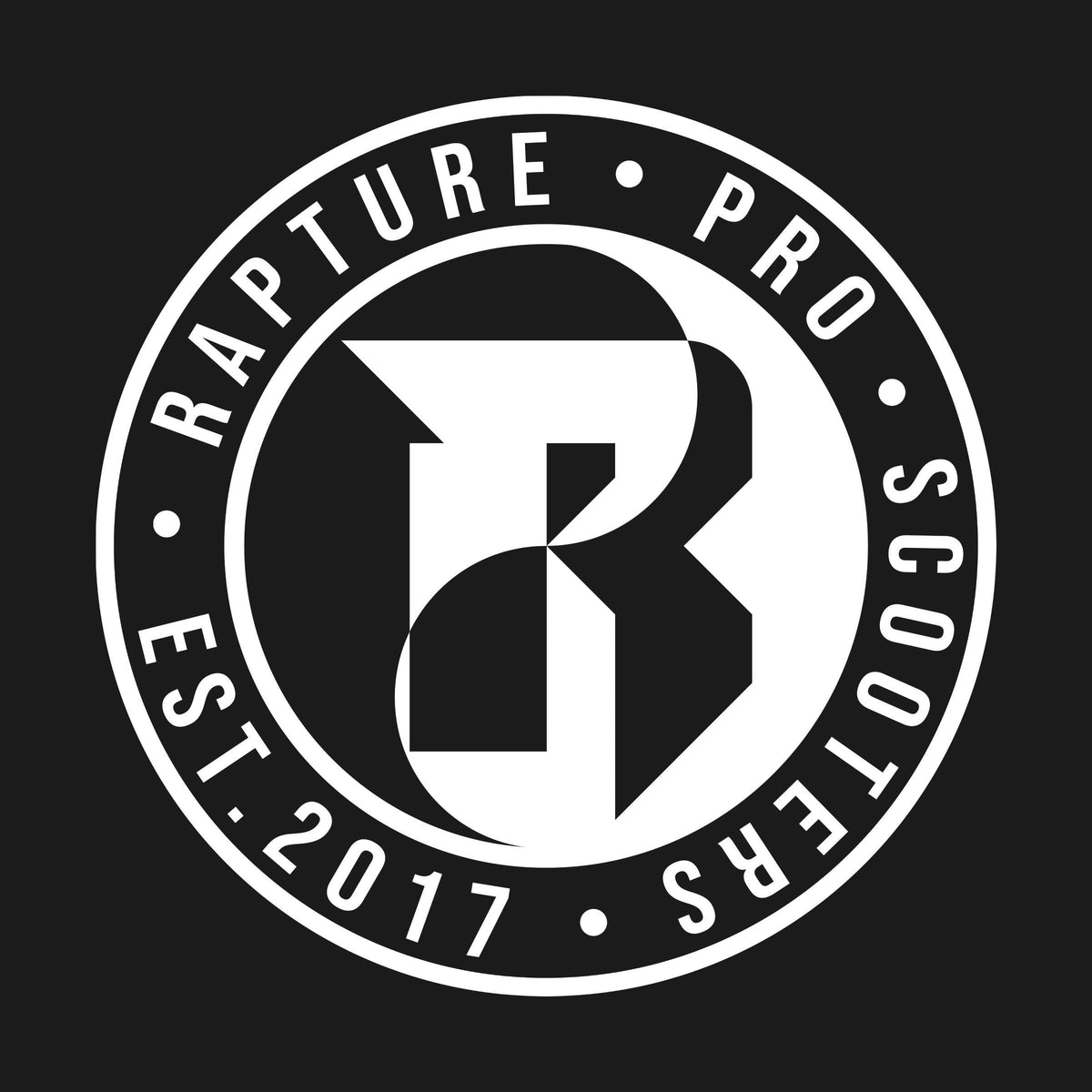 Established Rapture Poster Banner – RaptureProScooters